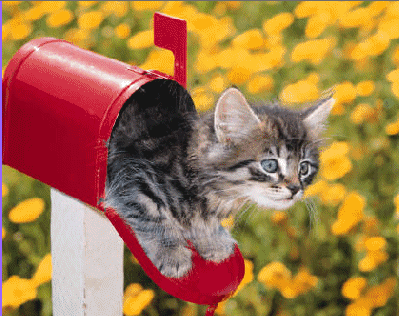 Friday the 13th... - Gypsy JoyGypsy Joy